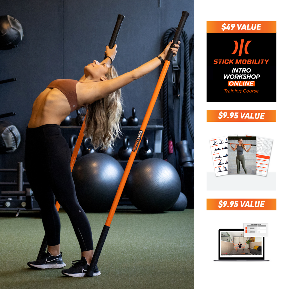 5 Reasons to Use Stick Mobility