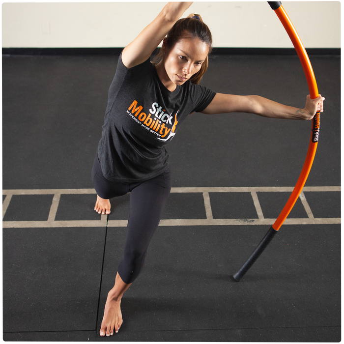 Stretch Lab Course
