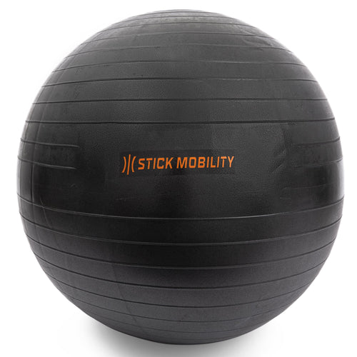Exercise Ball - 55cm, with Pump